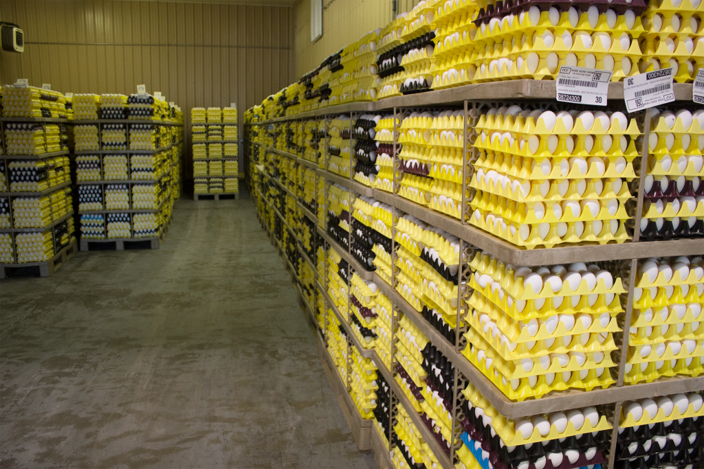 Packaged Eggs - Web - Wabash Valley Power Alliance